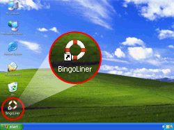 Click on the BingoLiner icon on your desktop, to start the bingo game.